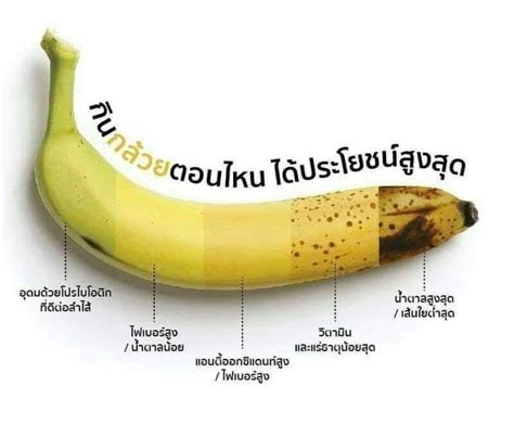 ปักพินโดย Im Kris 🚴 ใน ดอกไม้ในใจ อาหารเพื่อสุขภาพ กล้วย อาหาร