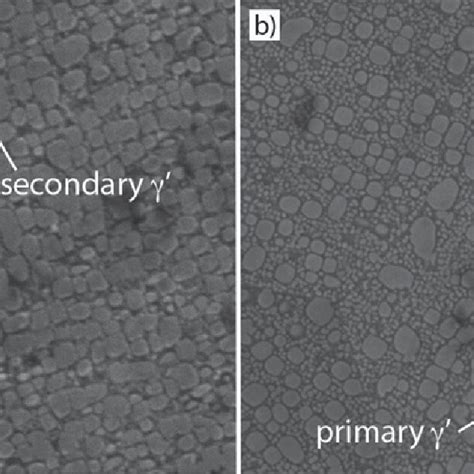 Sem Micrograph Etched Sei γ γ Microstructure After A 1000 H And Download Scientific