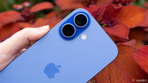 How To Pair Your Airpods To Your Iphone Ipad Or Mac