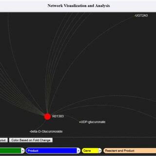 In This Screenshot Visualization Of A Sample SBML Output File Is Download Scientific Diagram