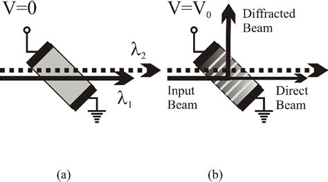 Figure 1 From Electroholographic Wavelength Selective Switches In Wdm Networks Semantic Scholar