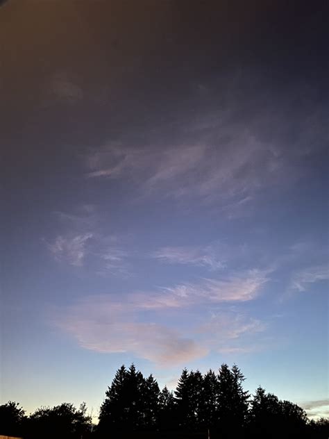 86 C4 D822 F1 F1 4 D67 9835 Be9 Aa37655 B7 — Postimages