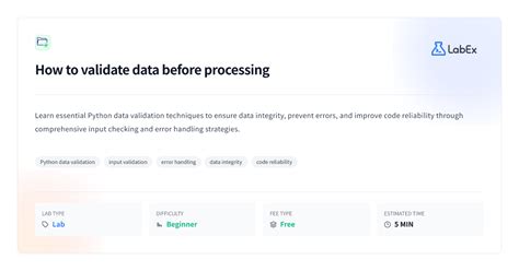 How To Validate Data Before Processing Labex