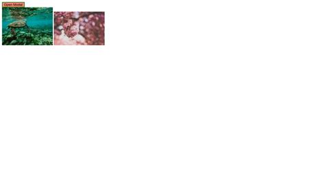 Modal Picture Modal Picture