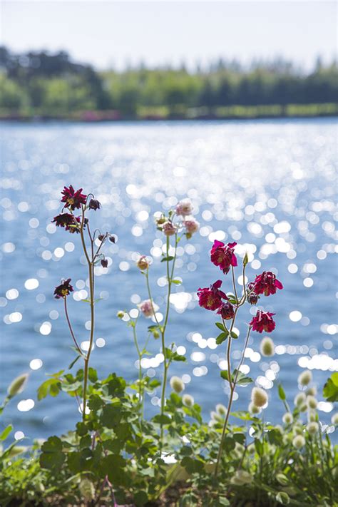 유토이미지 꽃과정원 034