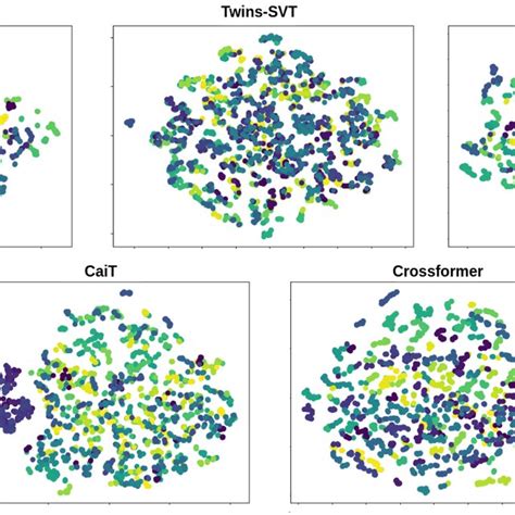 Qualitative Visualizations Of The Network Embeddings After Fine Tuning