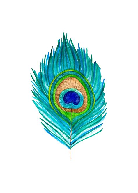 Feather Sticker Peacock Feather Bohemian Sticker Boho Etsy