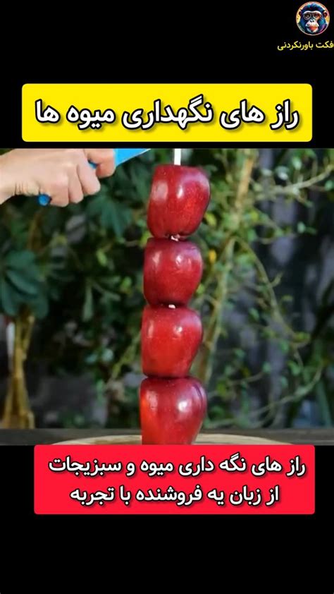 ‎فکت باورنکردنی دانستنی، حقایق‎ ‎اختراع عجیب در قدیم Ifactsfarsi فکت ناب حقایق علمی