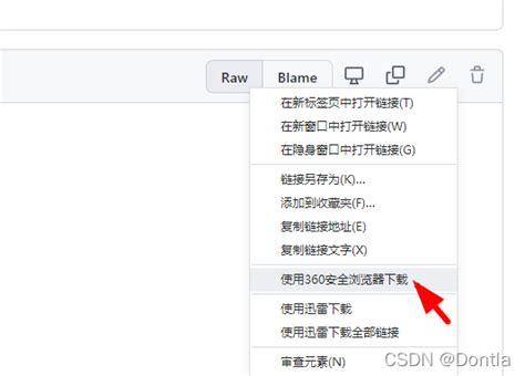 github上如何下载单个文件（文件点开 ＞raw右键 ＞目标另存为） download raw file csdn博客
