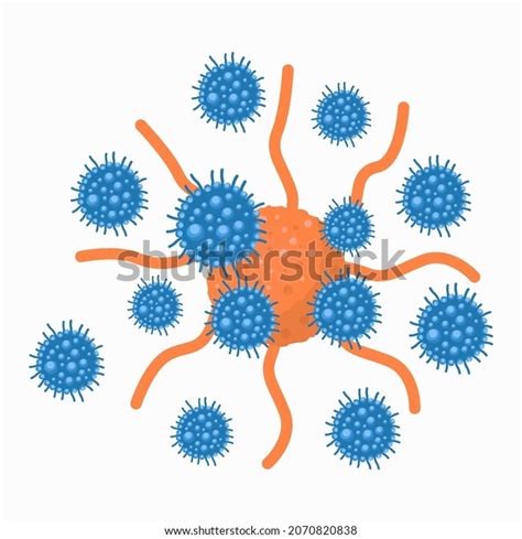 Illustration Vector Flat Design T Cell Stock Vector Royalty Free 2070820838 Shutterstock