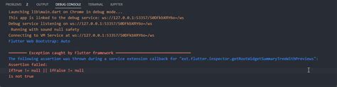 🐛 Exception Caught By Flutter Framework When Run Example On Web