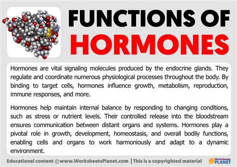 What Produces Hormones In Plants At Lorelei Rios Blog