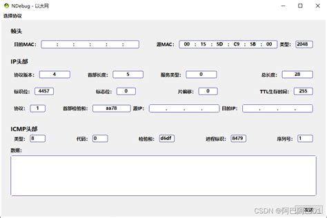 轻松构建并发送icmp数据包tcp传送文件实例加一个界面构建一个改变路由的icmp包 Csdn博客