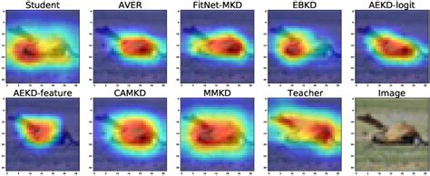 Grad Cam Visualization Of Multi Teacher Knowledge Distillation Methods Download Scientific