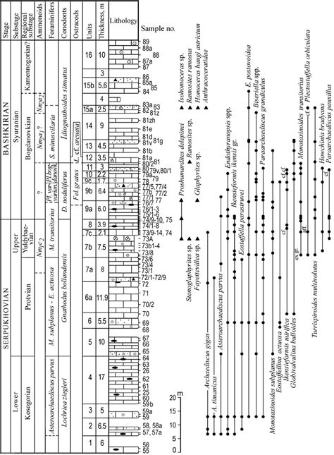 The Distribution Of Fossils Ammonoids By S V Nikolaeva Selected