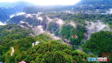 健身走跑赛早春集市雅安雨城春季旅游系列活动开启 四川在线
