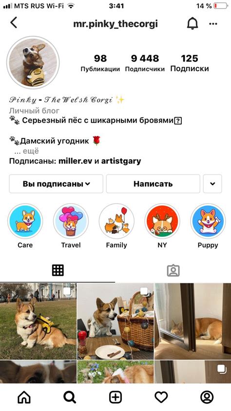 Пин от пользователя Anzhelaslys на доске Pinky Ева миллер