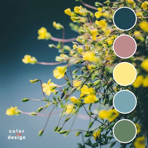 Сочетание цветов синий желтый зеленый голубой розовый Сочетание цветов Цвета для