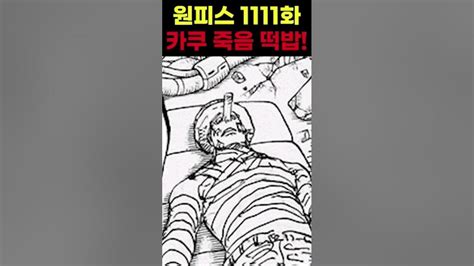 원피스 최신화 카쿠 죽음 떡밥 ㄷㄷ 카쿠를 벌레 취급하는 오로성 원피스 애니메이션 Youtube