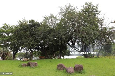 레오나르도 마세도니아 광장 리오 그란데 도 술의 포르토 알레그레의 도시 주위에 흩어져 아름다운 광장 중 하나 0명에 대한 스톡 사진 및 기타 이미지 Istock