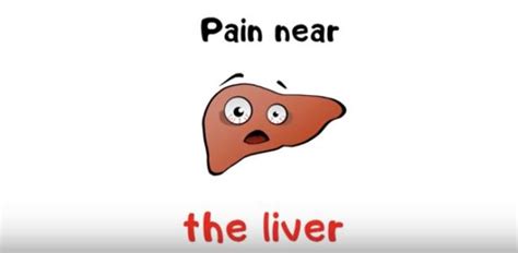 Диета за прочистване на черния дроб след лятната почивка кулинарно бг