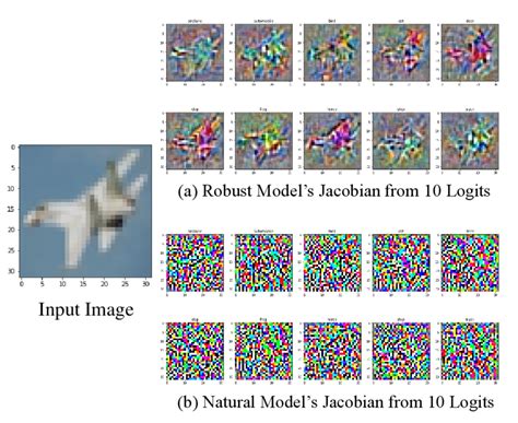 Comparison Of Robust Models And Natural Models Jacobian Download