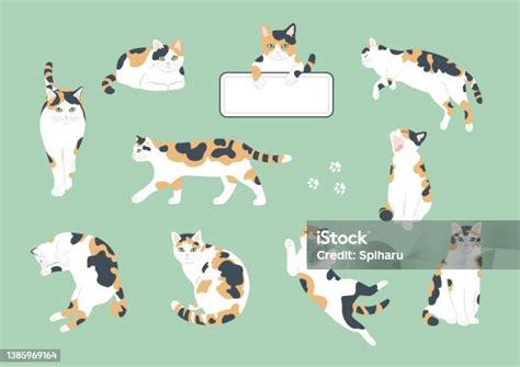다양한 귀엽고 재미있는 고양이 손으로 그린 스타일 벡터 디자인 일러스트 가축에 대한 스톡 벡터 아트 및 기타 이미지 가축 개체 그룹 고양이 새끼 Istock