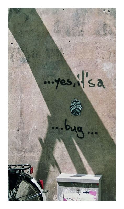 Yes Its A Bug Rdevhumor