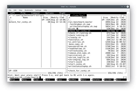 Boot Problem Running A Python3 Script At Startup With Lxsessions