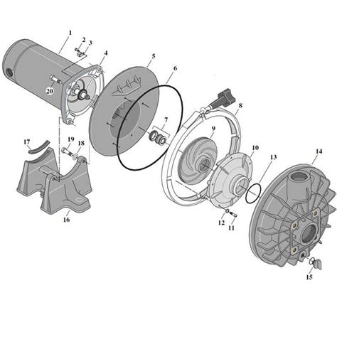 Diagramme Des Pièces De Pompe Century Pour Piscine