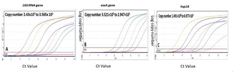 efficacy of fixed duration multidrug therapy for the treatment of