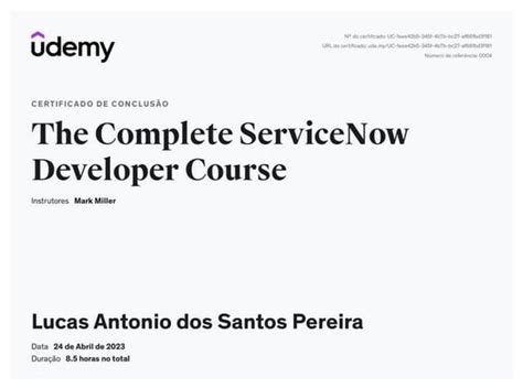 Micro Certification Flow Designer Pdf