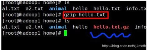 总结linux系统压缩和解压文件指令——gzipgunzip 指令、zipunzip 指令、tar 指令gunzip C命令 Csdn博客