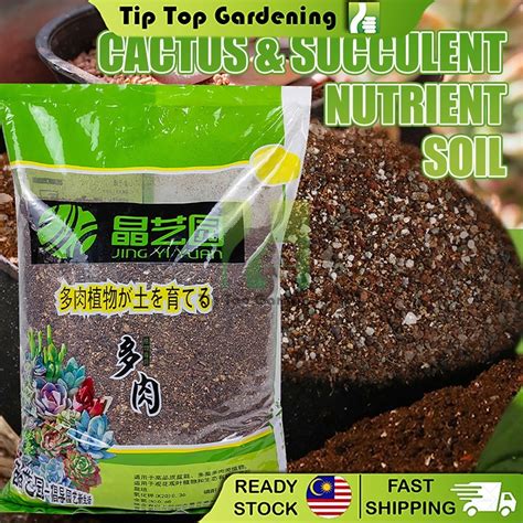 Cactus And Succulent Nutrient Soil Organic Succulent Potting Mix Garden