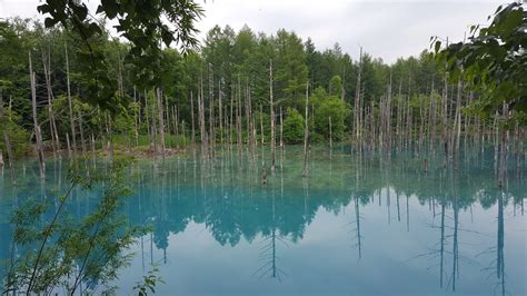 7일간의 홋카이도 자유여행