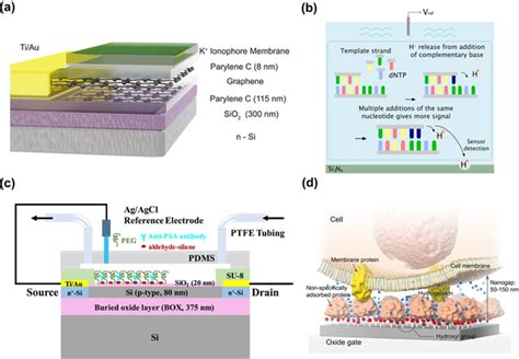 Biosensing Applications Of Ion‐sensitive Field‐effect Transistor