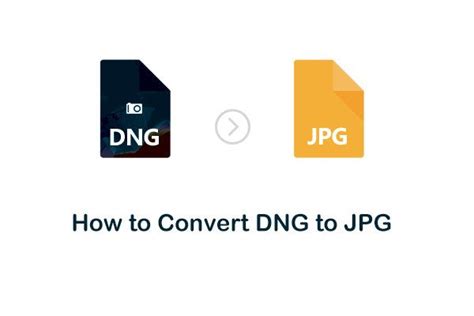 Convert Dng To  On Windowsmaconline Batch Conversion Support