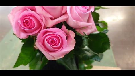 리바이벌장미 생화 꽃집 꽃집창업 꽃값 온라인꽃시장 온라인꽃도매 인터넷꽃시장 인터넷꽃도매 서울꽃시장 꽃농장 꽃배송 생화배송 생화도매 생화택배 꽃배달 생화배달 생화주문 생화부케