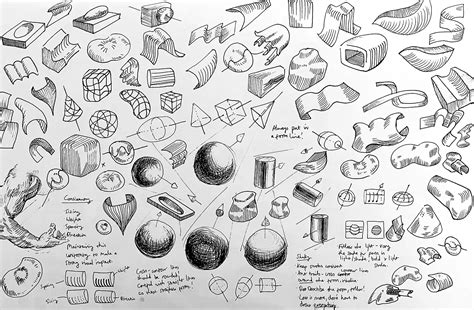 Contour Drawing Exercises