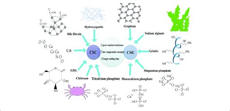 Disadvantages Of CSC And CSiC And Their Modifications CSC Calcium Download Scientific