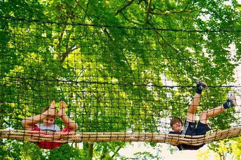Woodland Treetop Walkway For Treehouses Adventure Parks And Woodland Settings Treehouses