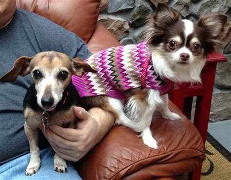 Lola And Her Cousin Ruby
