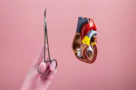 Understanding The Different Types Of Bypass Surgery Writeupcafe