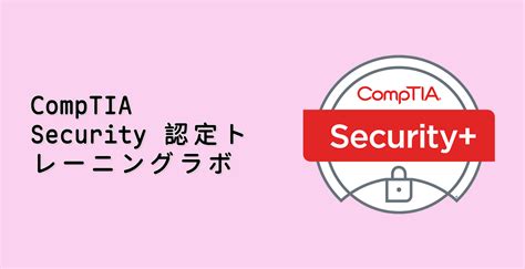 Linux で Mac アドレスと Ip アドレスを特定する方法 Labex