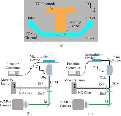 Overview Of The Microfluidic Device And Experimental Setup 2a Download Scientific Diagram