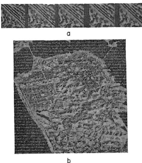 Fra 4 Examples Of Local Histogram Modification A