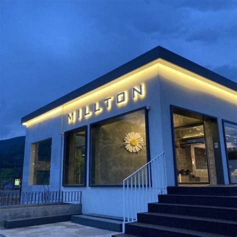 초대형리본 청도 카페 밀톤 예쁜카페 가볼만한곳 민들레 디자인센스 초대형꽃 조명숙플라워 예쁜간판 꽃간판 간판제작 생활의달인 생생정보 방송소품 뮤직비디오촬영 구절초 데이지