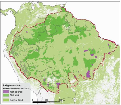 How The Amazon Rainforest Is Reaching Its Tipping Point In A Rapidly