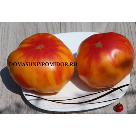 Король Ананас ( King Pineapple, США)