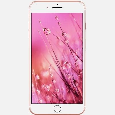 Iphone Plus Gold Pink D Model By Cgaxis